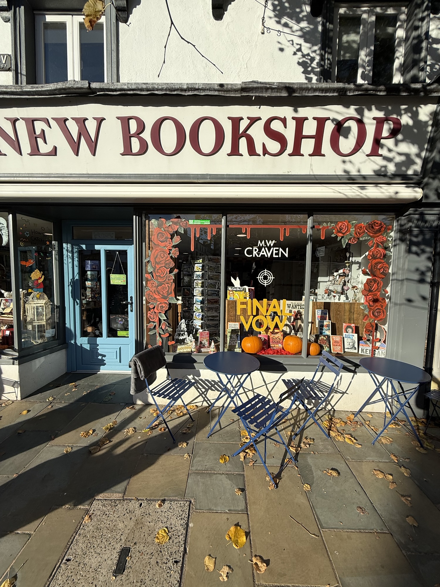 Books in the Wild: The New Bookshop – Verity Reads Books (lots of them)