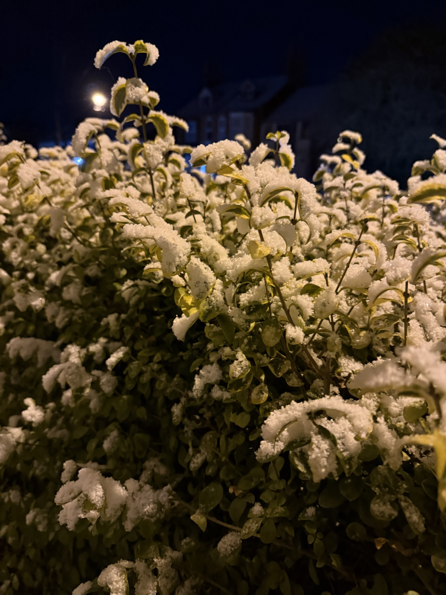 2026 Reading Resolutions – Verity Reads Books (lots of them)